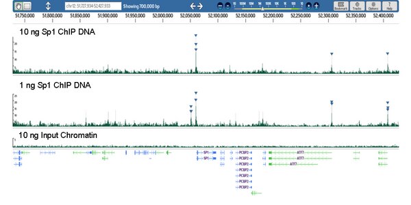 Magna ChIP-Seq™ ChIP and NGS Library Preparation Kit | 17-1010